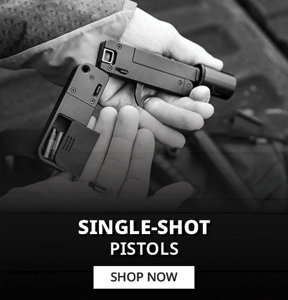 Guns For Sale Online | Sportsman's Outdoor Superstore | Online Gun Store
