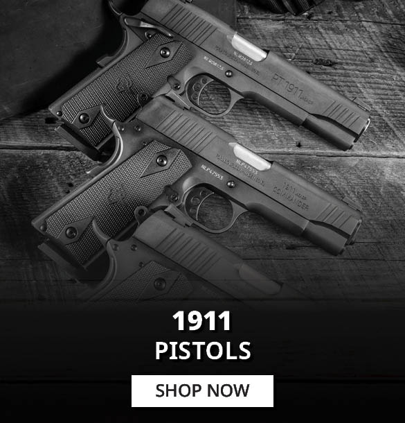 Guns For Sale Online | Sportsman's Outdoor Superstore | Online Gun Store