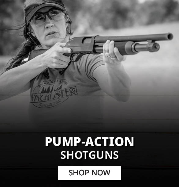 Guns For Sale Online | Sportsman's Outdoor Superstore | Online Gun Store