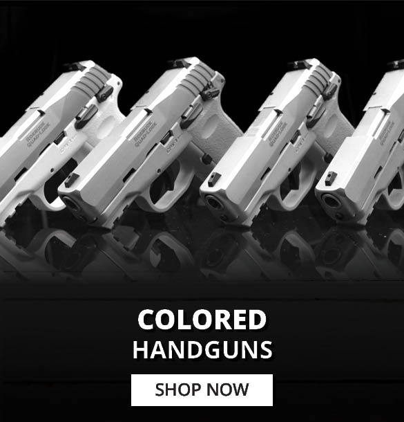 Guns For Sale Online | Sportsman's Outdoor Superstore | Online Gun Store