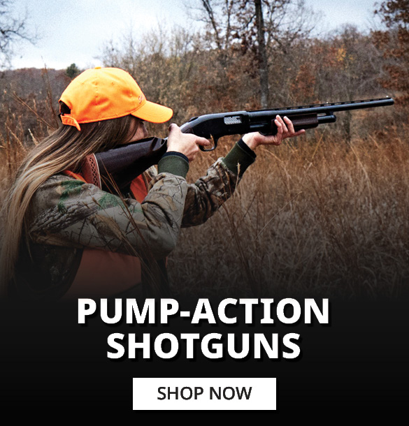 Guns For Sale Online | Sportsman's Outdoor Superstore | Online Gun Store