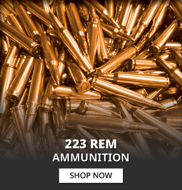 Ammunition for Sale | Sportsman's Outdoor Superstore | Online Ammo Store