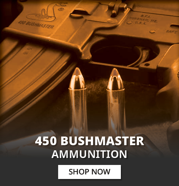 Ammunition for Sale | Sportsman's Outdoor Superstore | Online Ammo Store