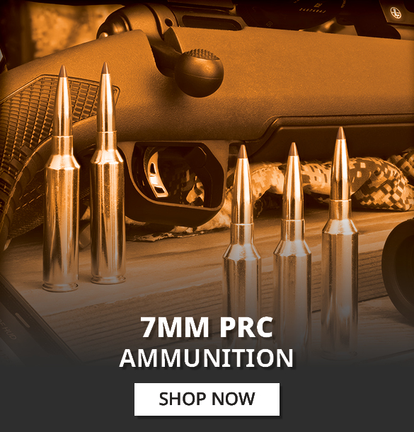 Ammunition for Sale | Sportsman's Outdoor Superstore | Online Ammo Store