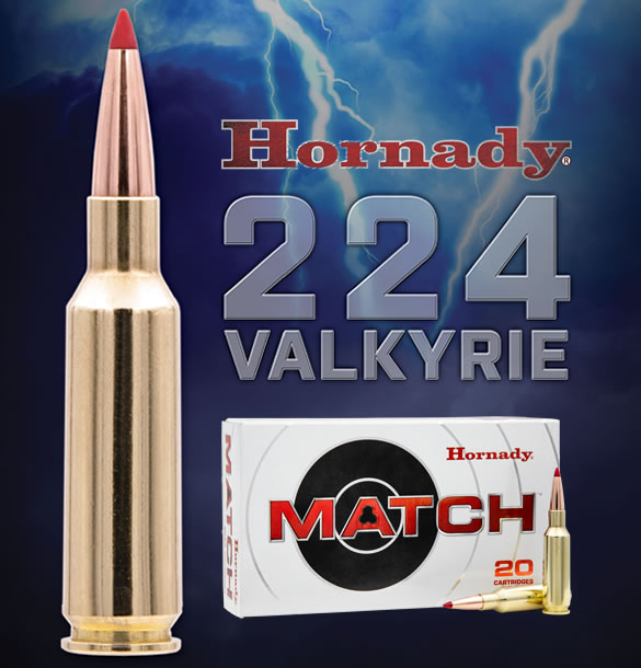 Ammunition for Sale | Sportsman's Outdoor Superstore | Online Ammo Store