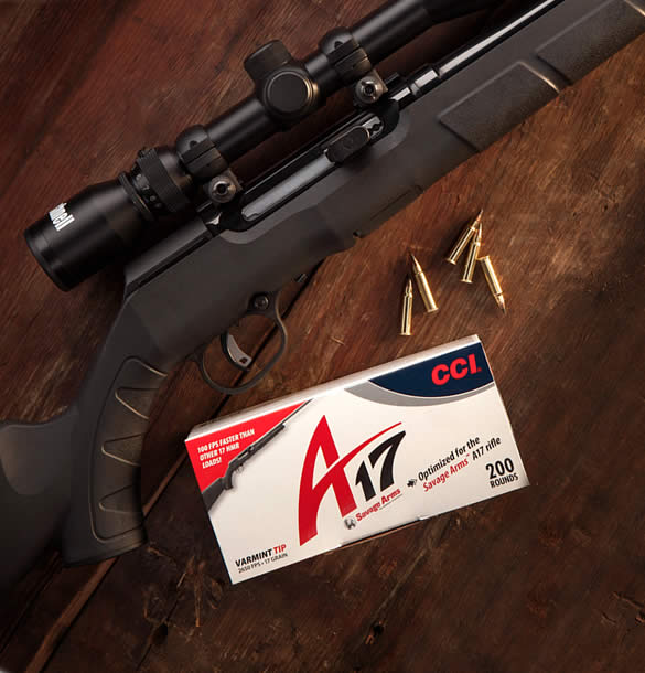 Ammunition for Sale | Sportsman's Outdoor Superstore | Online Ammo Store