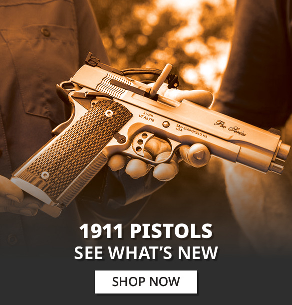 Sportsman's Outdoor Superstore | Online Shopping for Firearms ...