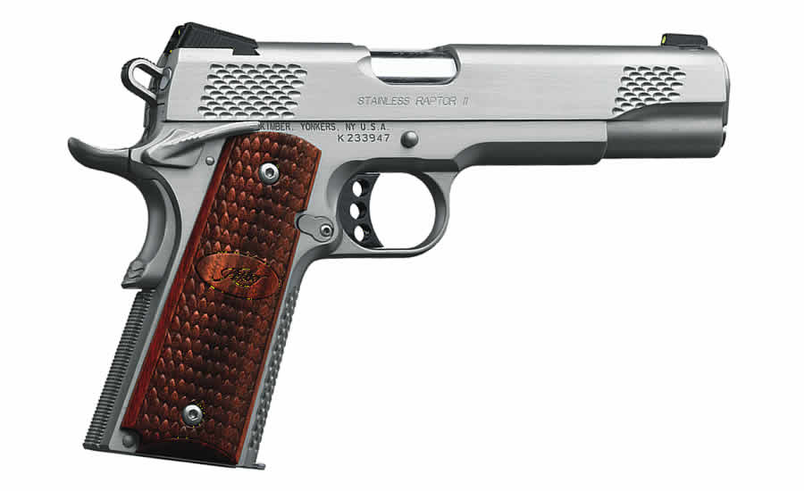 Kimber Stainless Raptor II .45 ACP with Night Sights | Sportsman's ...